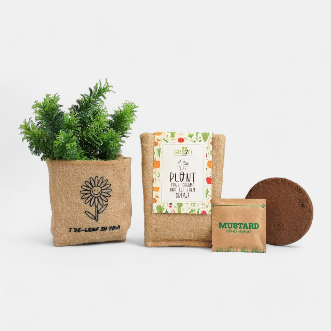 EcoThrive Sustainable Gift Hamper - Upcycled Luxury Coconut shell cand – Clan Earth